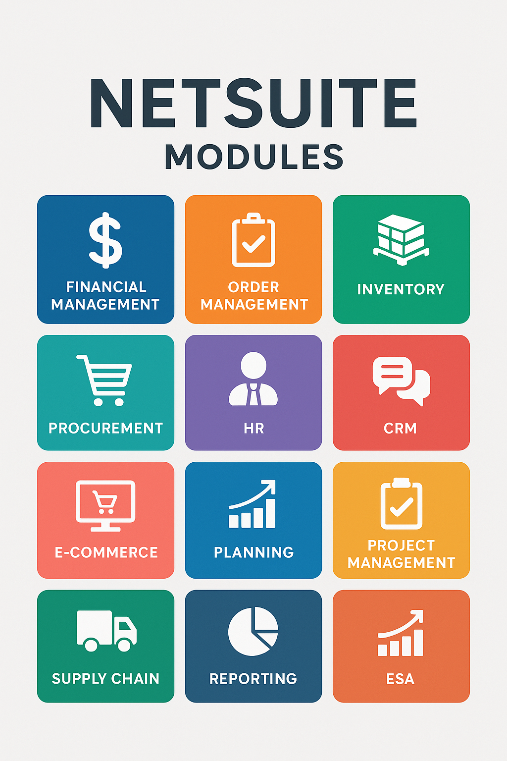 What are the NetSuite modules? - The Functional BA